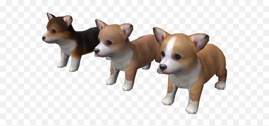 Ds Dsi - Nintendogs Pembroke Welsh Corgi The Models Nintendogs Corgi ...