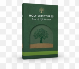 Gold Foil Tree Of Life Frame - Transparent Gold Tree Of Life Png,Tree ...