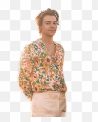 Harrystyles Harry Styles Sticker By U208a - Best Pictures Of Harry ...