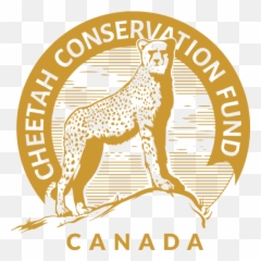 Rust Botkiller Minigun Mki - Backpacktf Strange Rust Botkiller Minigun ...