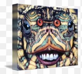 Snake Eyes - Clip Art Snake Eyes Png,Snake Eye Png - free transparent ...