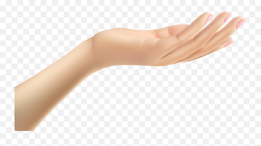 Hand Clipart Png Transparent - Arm And Hand Png,Boi Hand Transparent ...