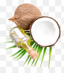 Miguel Dante - Necho Cat Kingdom Hearts Png,Coco Png - free transparent ...