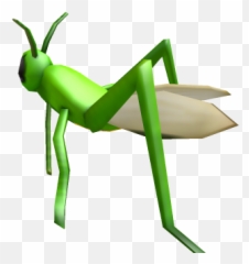 Praying Mantis - Roblox Praying Mantis In A Church Png,Praying Mantis ...