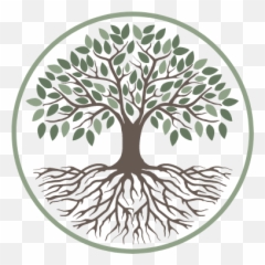 Gold Foil Tree Of Life Frame - Transparent Gold Tree Of Life Png,Tree ...