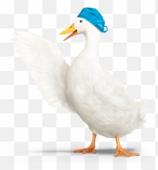 Download Aflac Duck Png - Aflac Duck Transparent,Duck Png - free ...