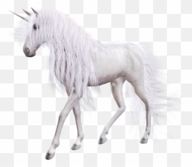 Unicorn Png - Realistic Unicorn Png,Unicorn Png Transparent - free ...