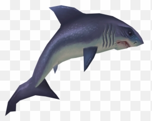 Basking Shark Alberni Charters - Basking Shark On White Background Png ...