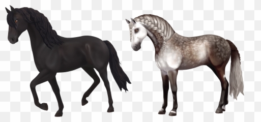 Lisa Peterson Star Stable Png Image - Star Stable The Soul Riders,Star ...