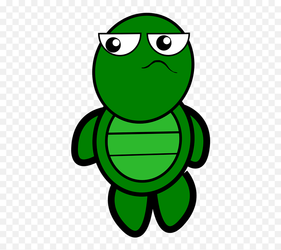 Turtle Tortoise Cartoon - Free Vector Graphic On Pixabay Sad Turtle ...