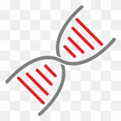 Genetic Mutations - Genetic Mutation Png Clipart Full Size,Dna Icon No ...